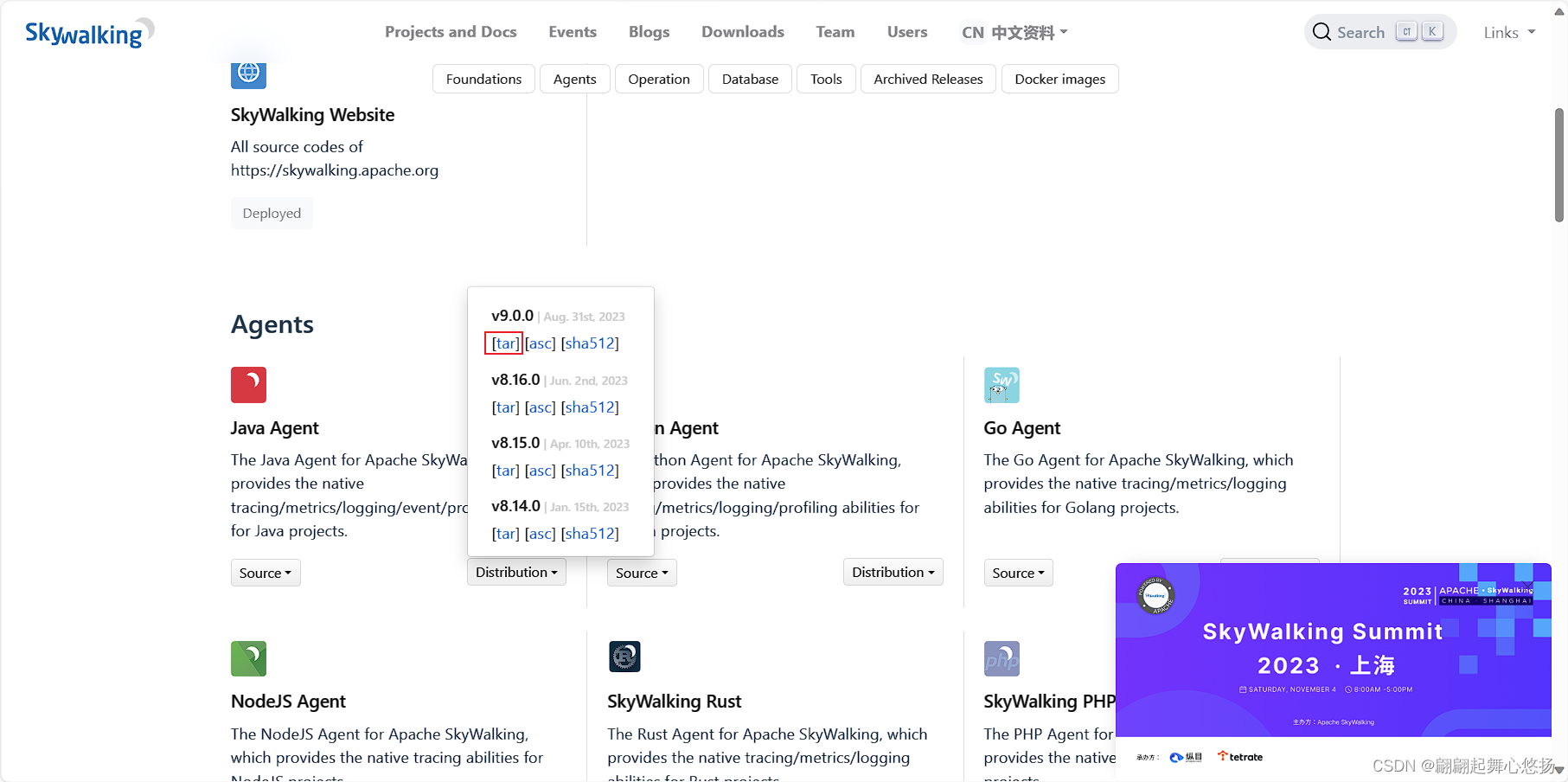 搭建SkyWalking 链路追踪_skywalking(链路追踪)如何搭建-CSDN博客