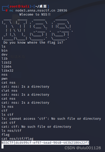 每周练习&学习（一）1.1--nc的使用与系统命令执行_ctf nc-CSDN博客