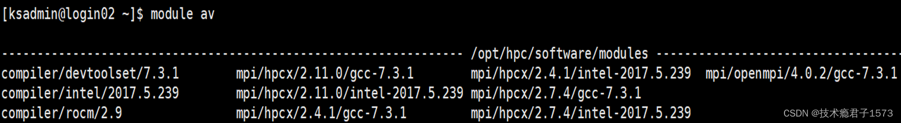 Linux基础-module命令使用（理论+实战）_linux module-CSDN博客