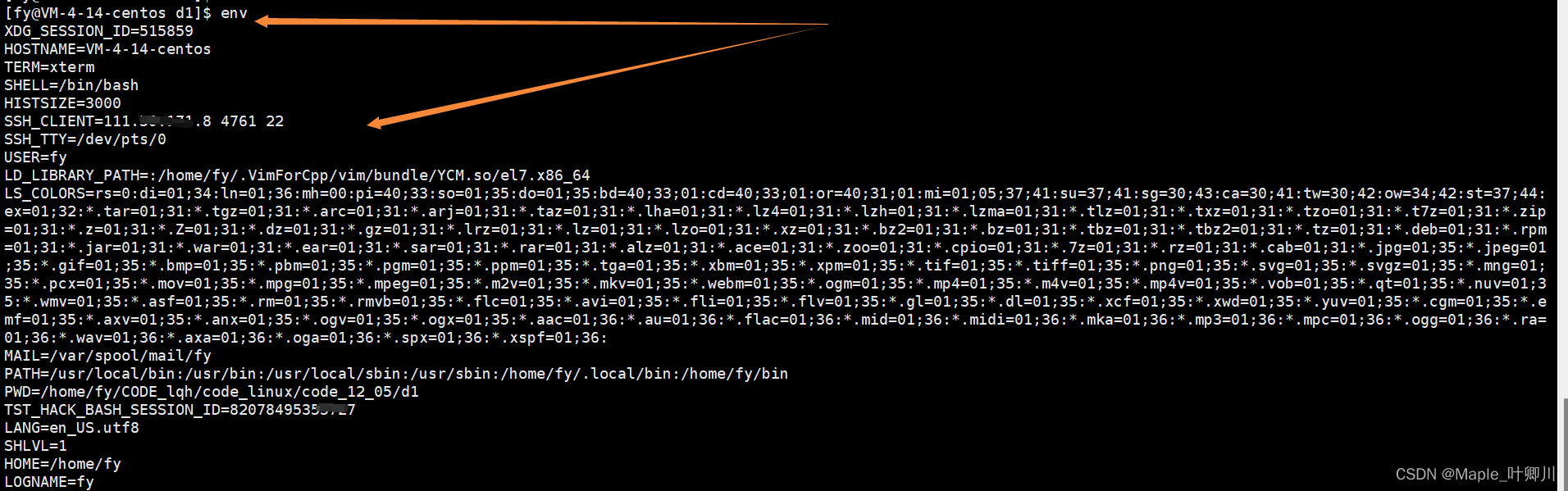 【Linux】四、Linux 进程概念（三）_pri 3b 4linux-CSDN博客