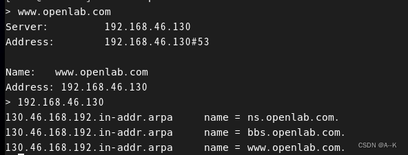 linux DNS正反向解析_linuxdns反向解析配置-CSDN博客