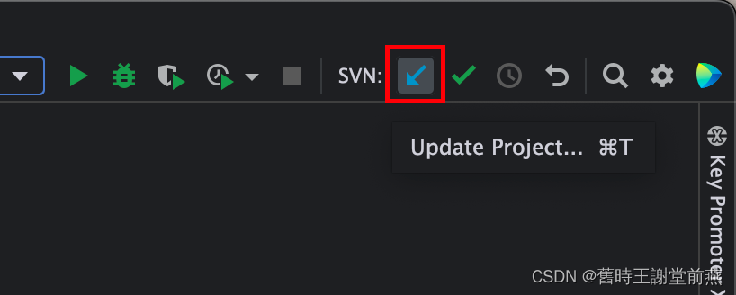 IDEA中集成使用SVN【超详细图解Mac版】_mac idea svn-CSDN博客