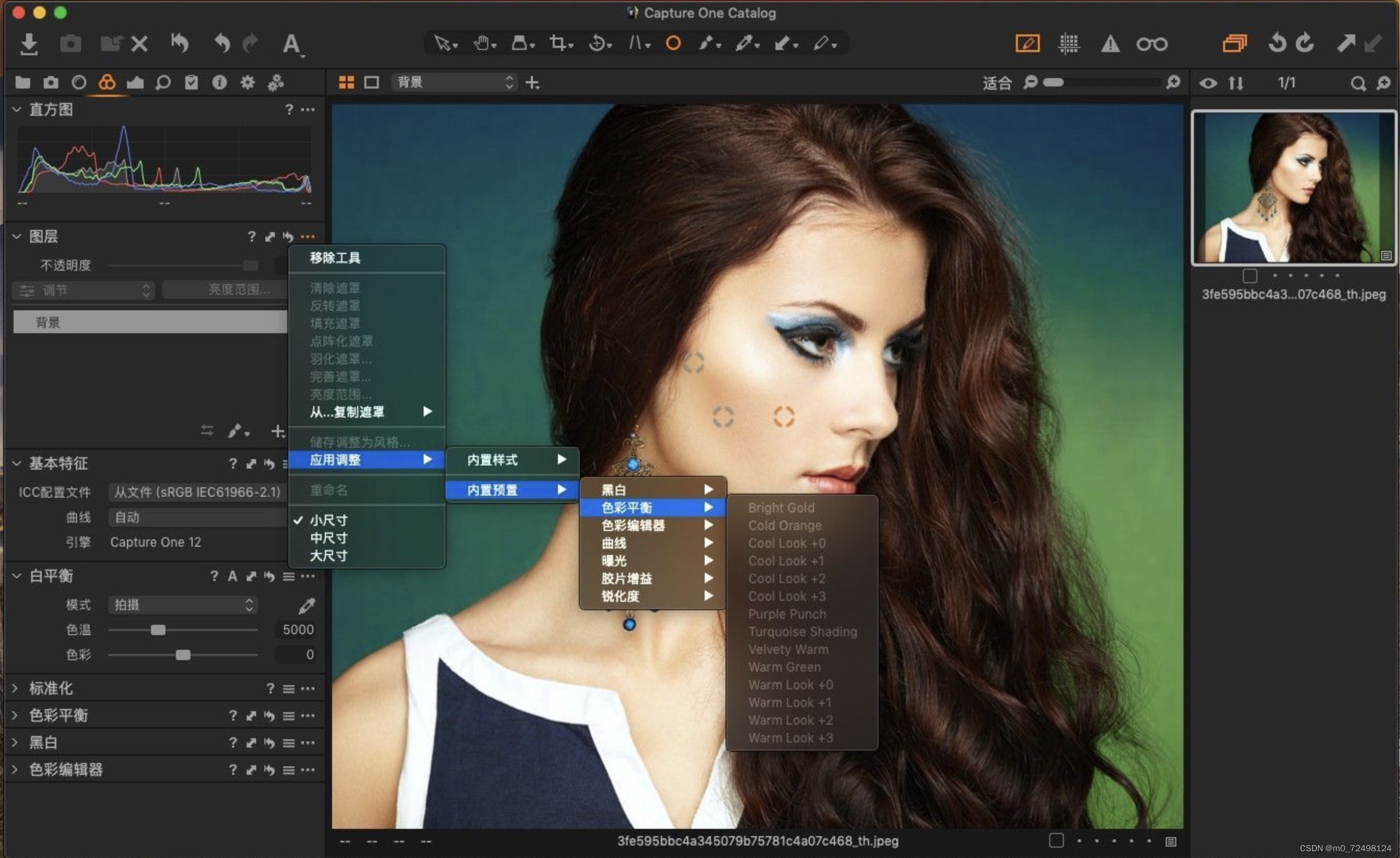 数码相机raw照片编辑Capture One Pro中文_capture one索尼版切换语言-CSDN博客