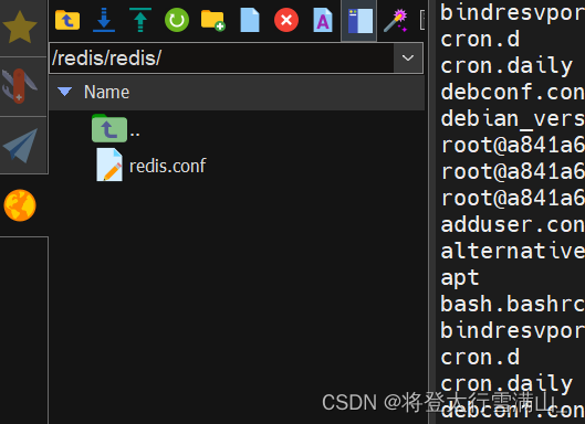 自存 docker里的创建的redis redis.conf没有怎么办_下载的 redis 无 windows.conf-CSDN博客