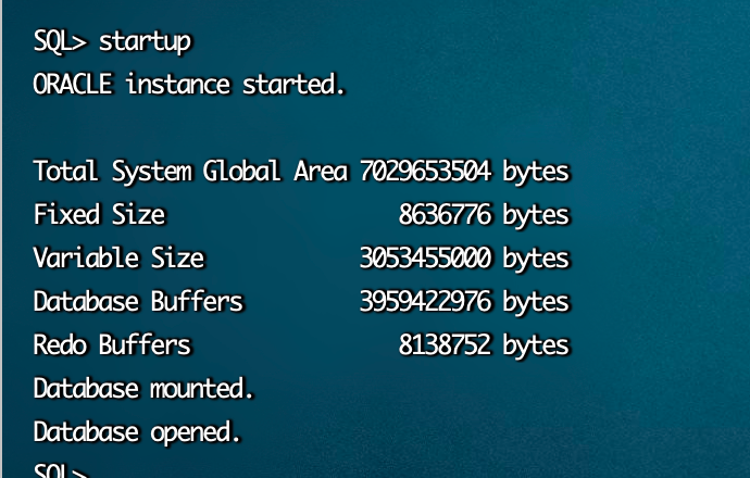 oracle 重启步骤及踩坑经验_oracle重启-CSDN博客