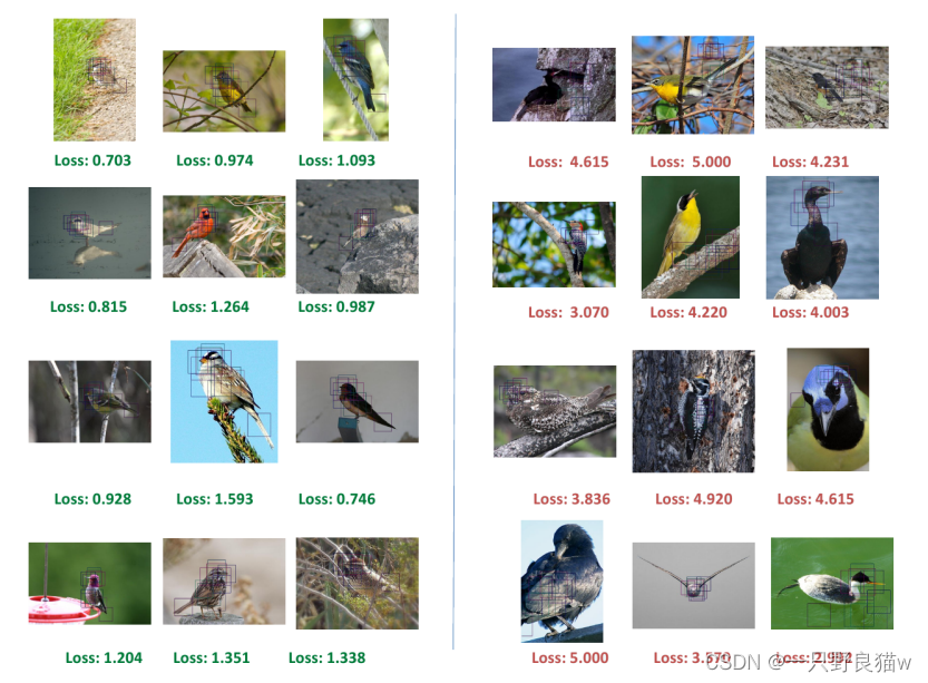 The Caltech-UCSD Birds-200-2011 Dataset-CSDN博客