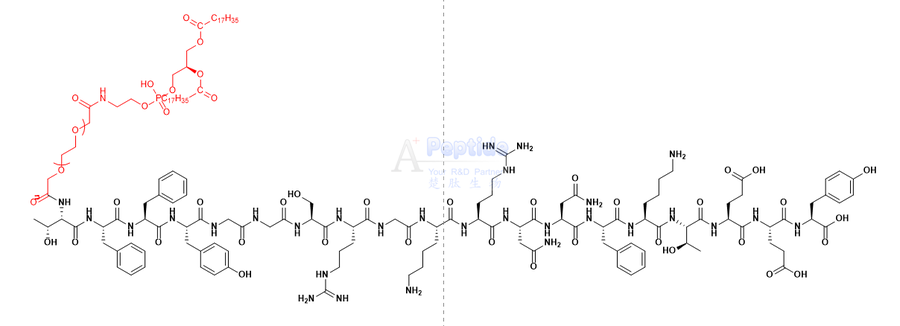 DSPE-PEG-ANG(Angiopep-2)；胶质瘤靶向肽；DSPE-PEG-Angiopep-2 (二硬脂酰基磷脂酰乙醇胺-聚乙二醇 ...