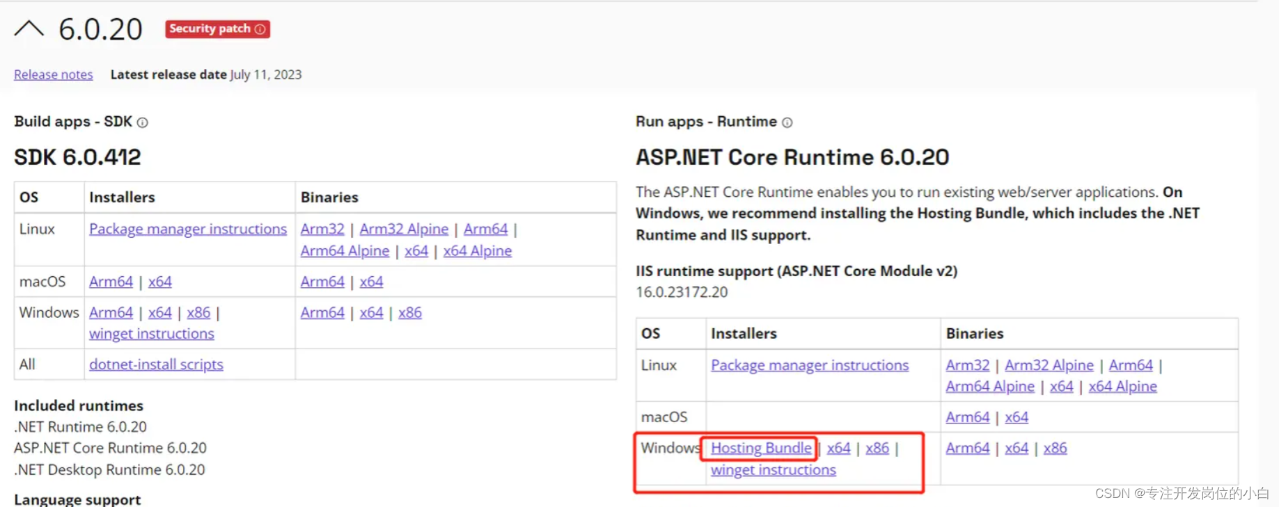 .net 6 Core 发布项目 并且部署IIS_net6 iis部署-CSDN博客