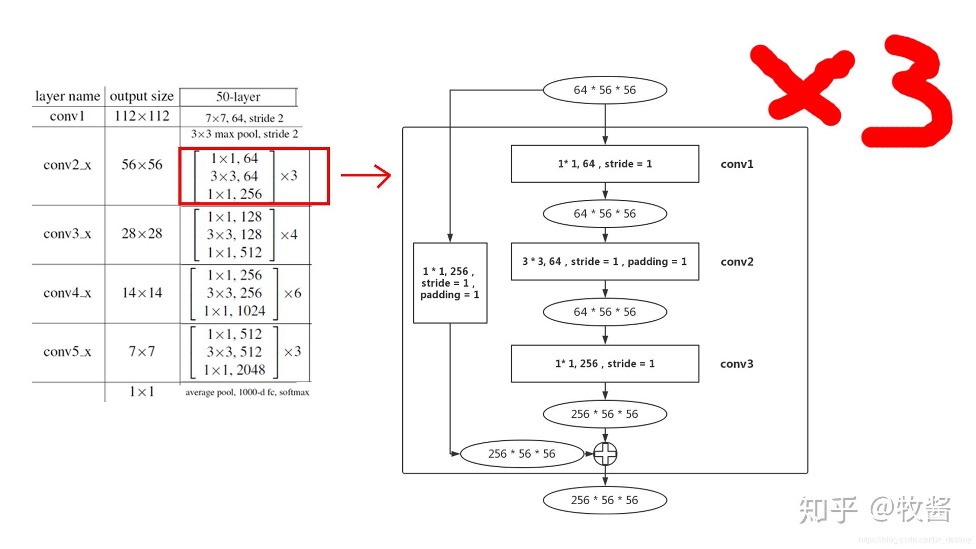 ResNet结构详解-CSDN博客