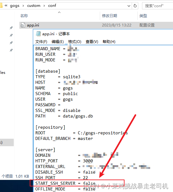 gogs服务无法启动_gogs延时启动-CSDN博客