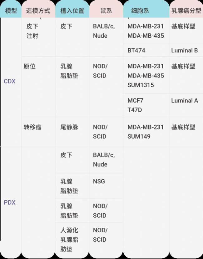 干货分享 | 滴滴~乳腺癌造模方法盘点！|MedChemExpress (MCE)_dmba mce-CSDN博客