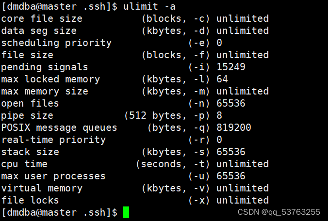 DM8主备集群搭建_dm8 集群版-CSDN博客