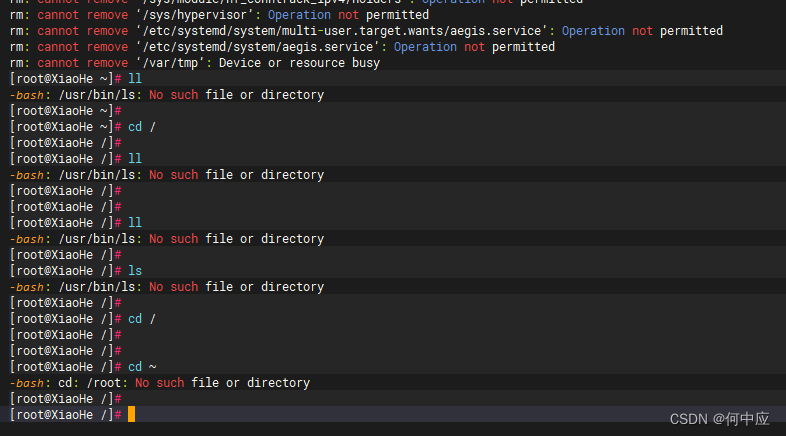 rm-rf /命令操作介绍_rm -rf-CSDN博客