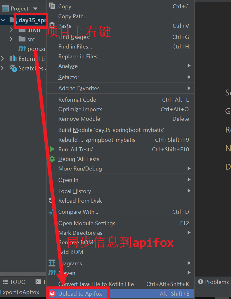 接口测试工具Apifox使用以及多环境的配置_apifox环境配置-CSDN博客