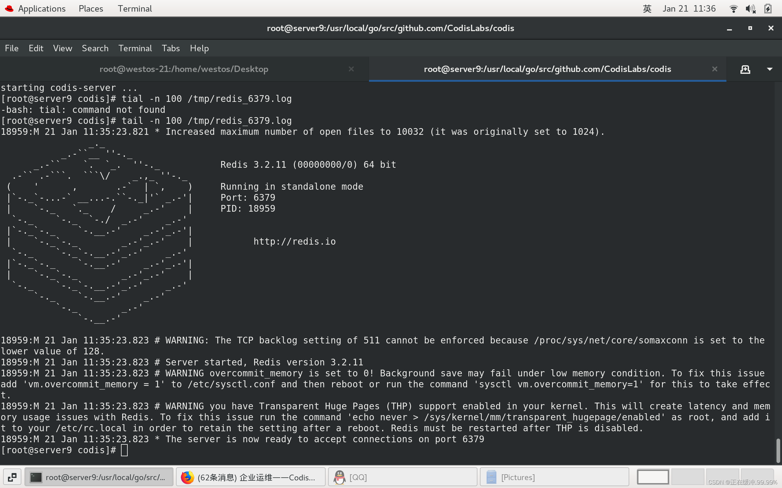 codis集群的搭建_codis proxy无法连接集群-CSDN博客