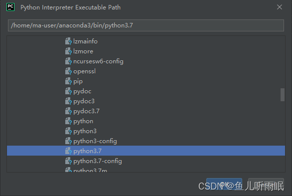 【保姆级教程】PyCharm通过SSH远程连接ModelArts_pycharm ssh-CSDN博客