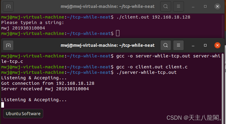 【Linux】网络编程pthread/fork_linux pthread fork-CSDN博客