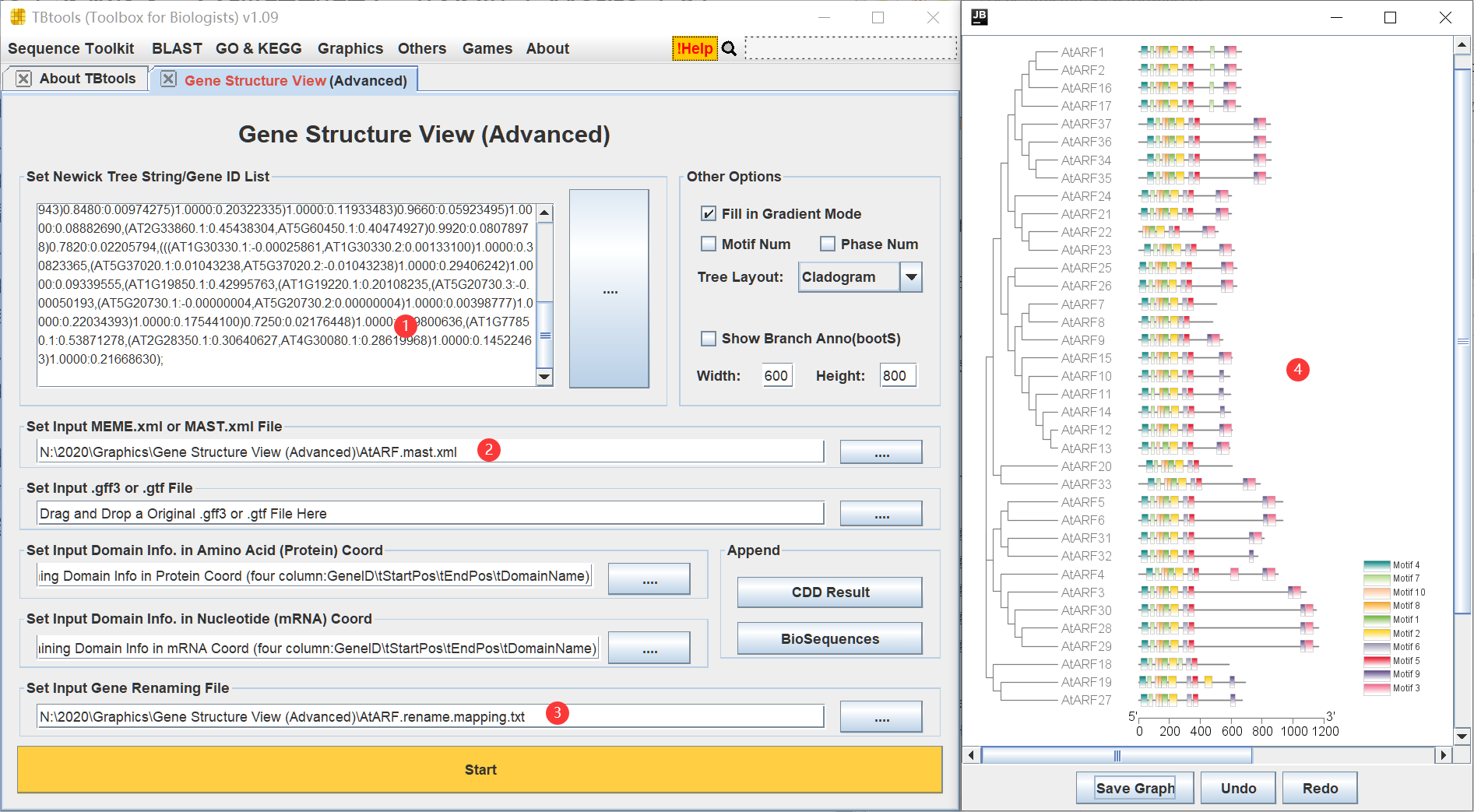 TBtools | 多图合一至强版教程！进化树 + Motifs + 结构域 + 启动子 + 基因结构 + ....-CSDN博客