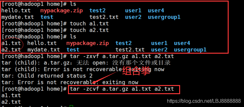 Linux的实际操作：文件目录类实用指令（压缩gzip tar -zcvf和解压缩gunzip tar -zxvf）_tar zcvf 命令 ...
