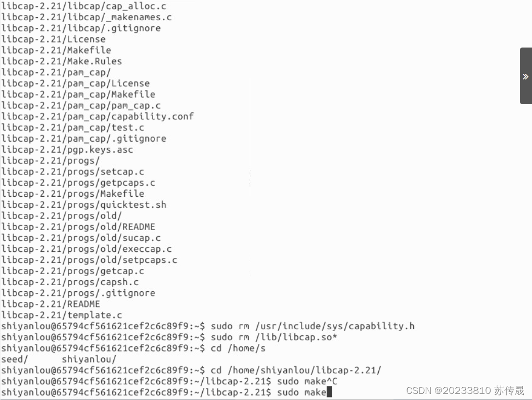 LinuxCapability实验：权限控制与最小权限原则应用,-CSDN博客