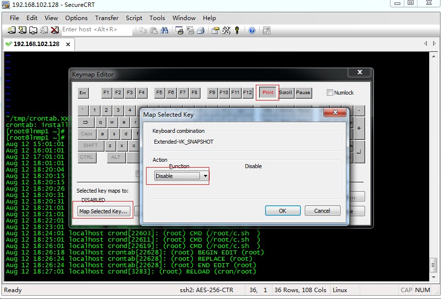 [secureCRT] 关闭secureCRT的auto print功能-CSDN博客