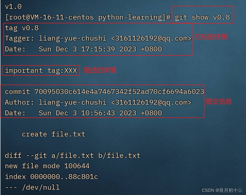Git 标签管理_git tag -a-CSDN博客