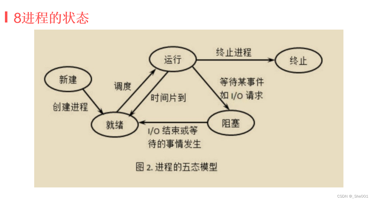 系统编程 day04 （函数 fork ,wait ,waitpid vfork进程的定义，进程的特点）_vstudio fork wait未定义-CSDN博客