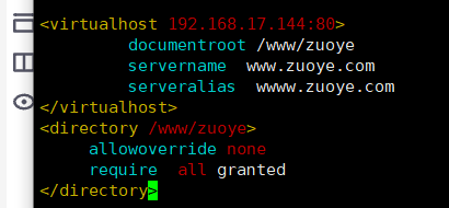 在linux中搭建web服务器及dns服务器_linux dns和wed-CSDN博客