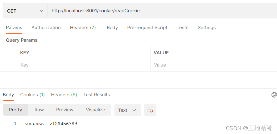生成token并存放到cookie_springboot token存入cookie-CSDN博客