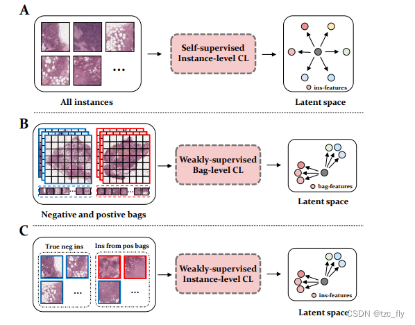 从Instance classifier重新思考多实例学习_wsi分类-CSDN博客