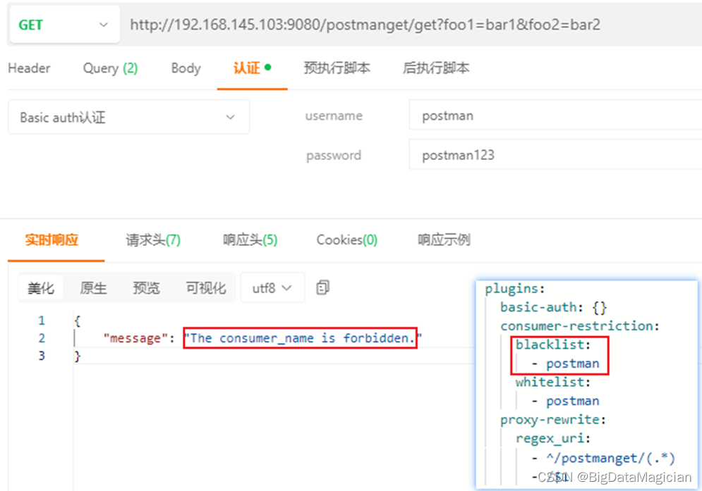API网关-Apisix路由配置教程_apisix 路由配置-CSDN博客