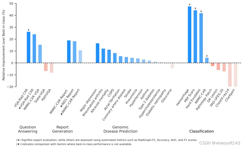 Med-Gemini_medgemimni如何使用-CSDN博客