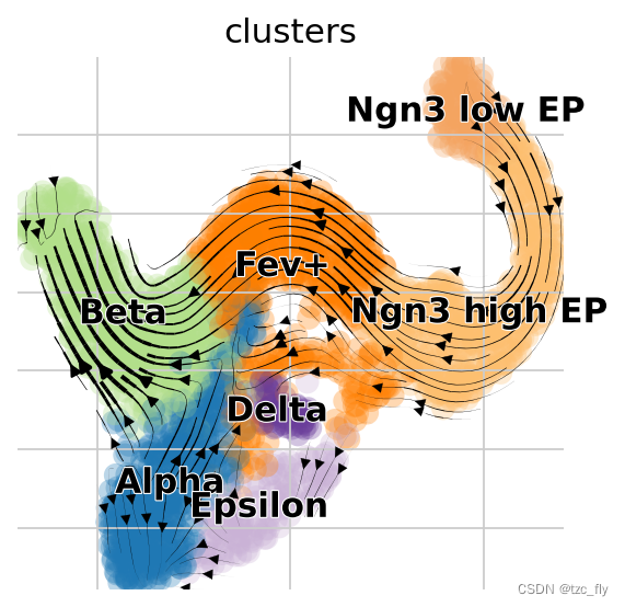 4.基于python的scRNA-seq轨迹推断-RNA速率_rna轨迹 python-CSDN博客