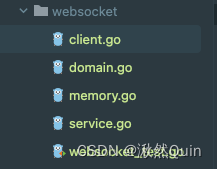 GolangWebSocket服务端与客户端实现及测试-CSDN博客