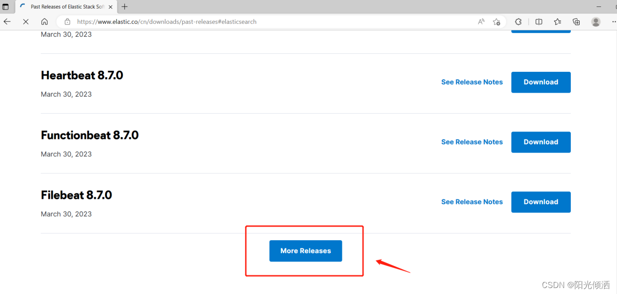 Windows部署Elasticsearch_win11 安装并启动elasticsearch数据库-CSDN博客