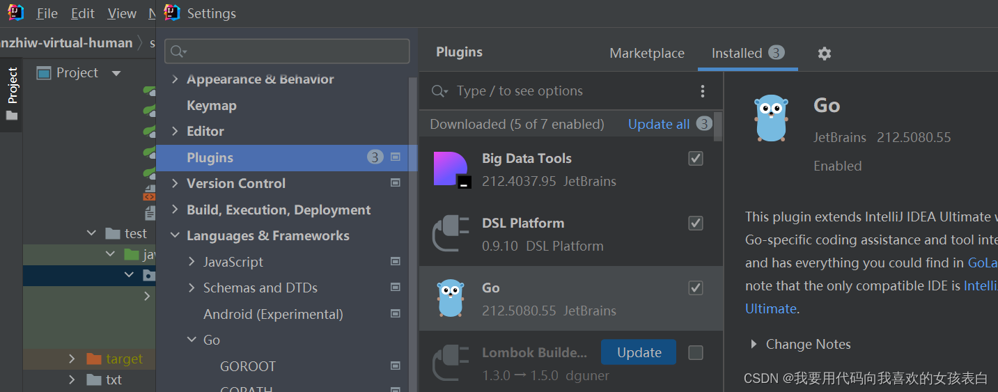 idea安装go-CSDN博客