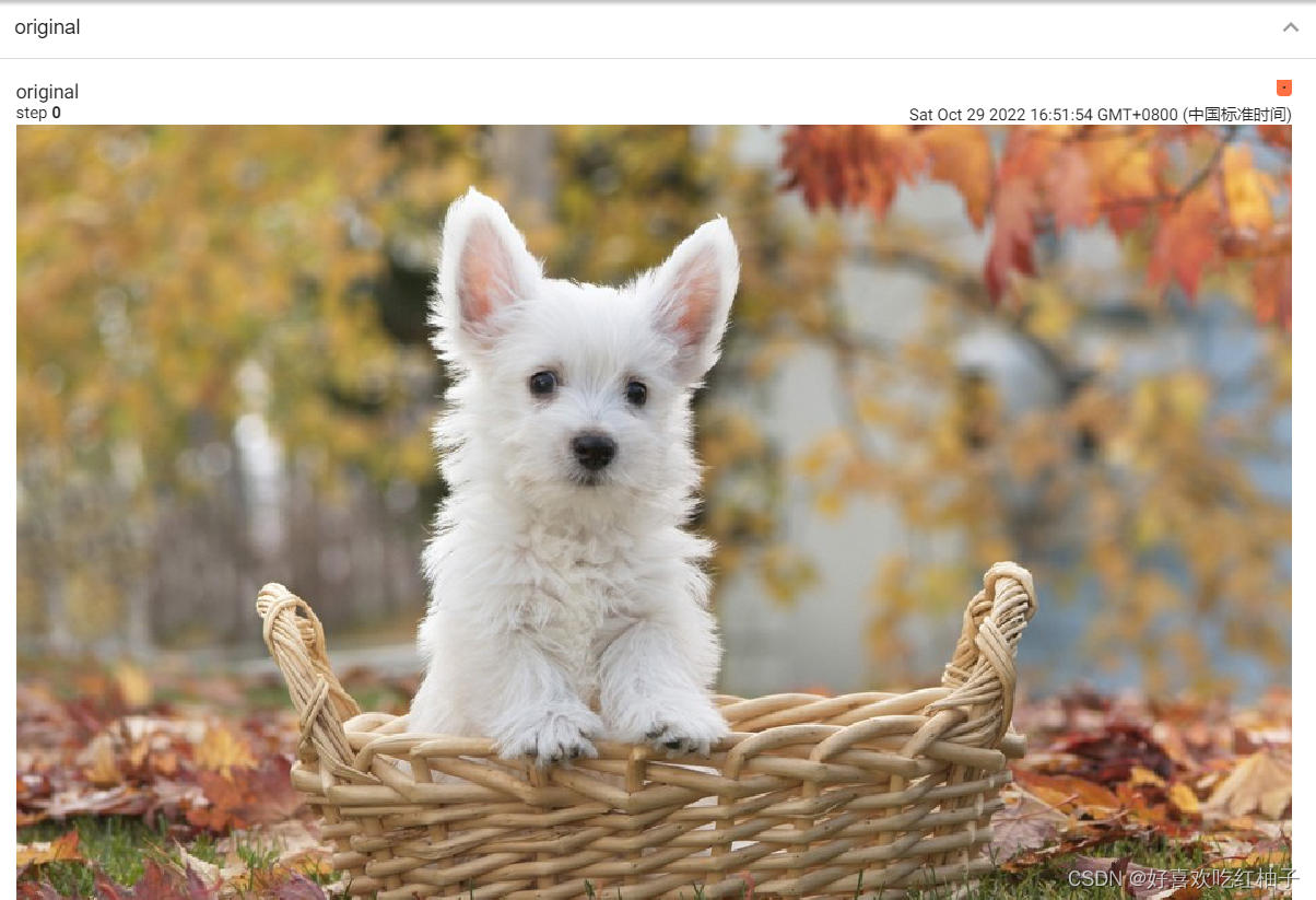 pytorch初学笔记（四）：常见的Transforms使用（ToTensor、Normalize、Resize、Compose、RandomCrop）-CSDN博客