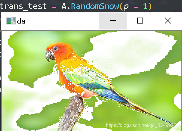 Albumentation使用指南-CSDN博客