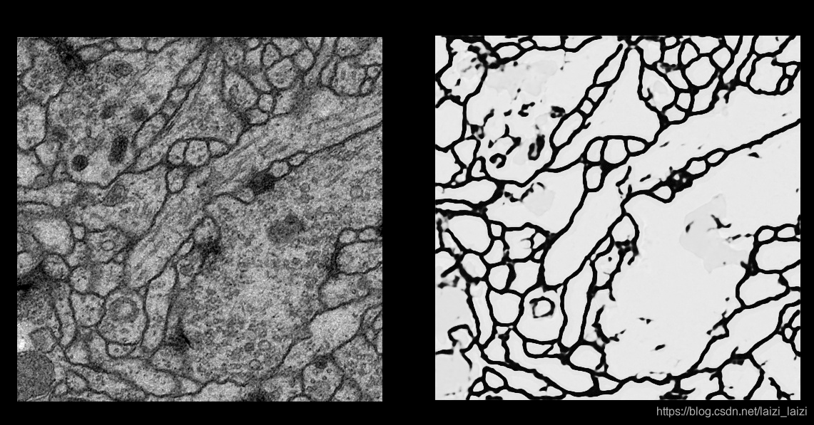基于pytorch编写unet进行细胞结构分割细胞分割pytorch Csdn博客