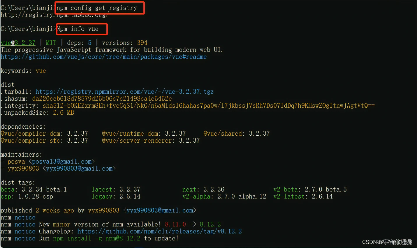 （全网最详细！！）npm：无法将“npm”项识别为 cmdlet、函数、脚本文件或可运行程序的名称_npm 报错无法识别-CSDN博客