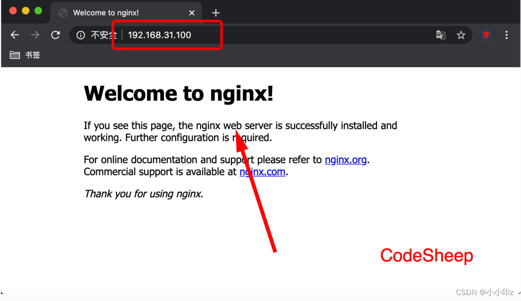 Linux下Nginx-1.17.10的安装_nginx-1.17.10.tar.gz-CSDN博客