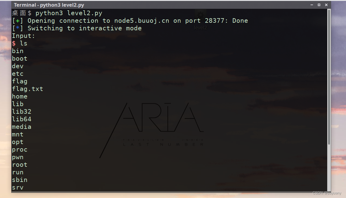 jarvisoj_level2解题-CSDN博客