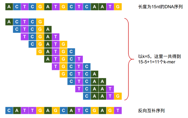 K-mer分析基因组-CSDN博客
