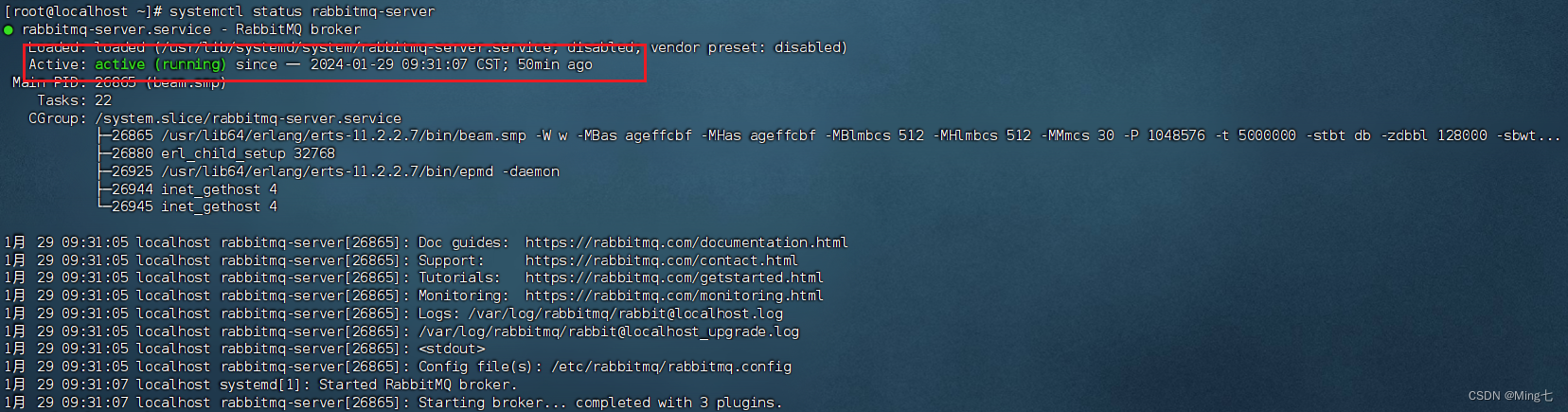 Linux安装Rabbitmq详细教程_linux7 安装rabbitmq-CSDN博客