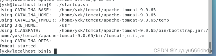 Linux下Tomcat服务器Finereport部署_finereport11 linux 登录-CSDN博客