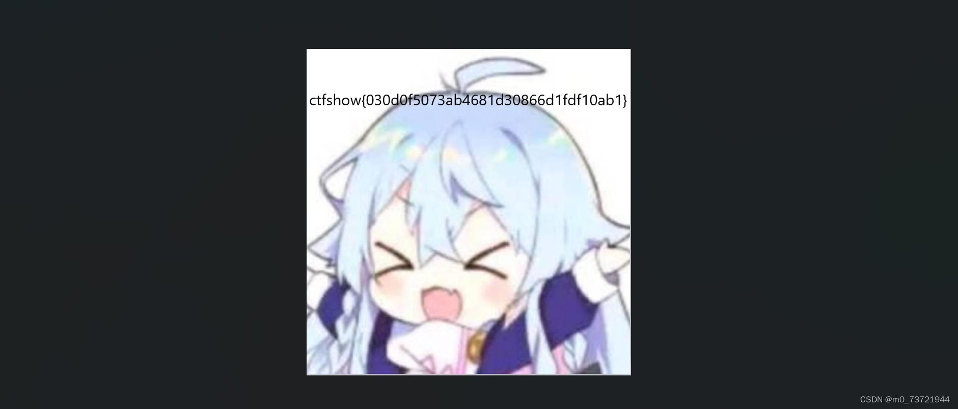 CTF挑战：使用010Editor解码技巧,-CSDN博客