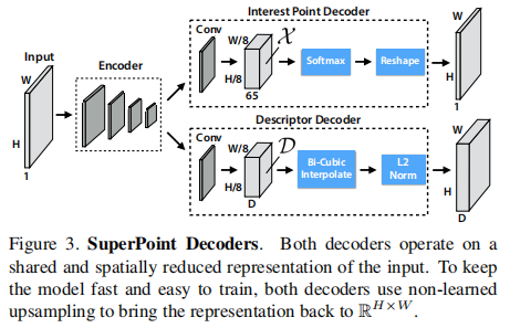 论文解读：SuperPoint: Self-Supervised Interest Point Detection and Description_superpoint代码-CSDN博客