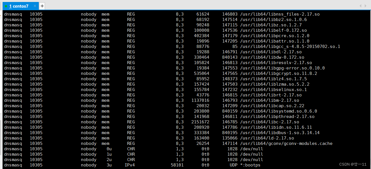 pidstat lsof 命令_pidstat命令详解参数-CSDN博客