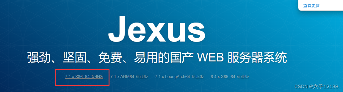 银河麒麟高级服务器操作系统（AMD64版）V10 7.1Jexus部署发布.NET framework WebForms项目_麒麟系统部署,net 4-CSDN博客